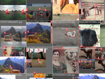 Solutions to the any computer vision problems | Object Detections | Upwork