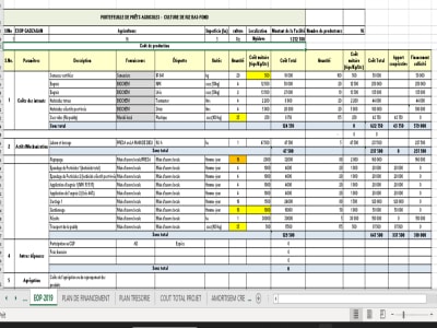 Financial Analysis Excel File with Interconnected Sheets | Upwork