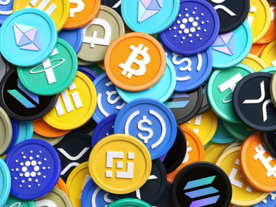 Expert ICO/IDO Token Deployment on ETH, Solana, AVAX, and More! | Upwork