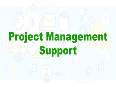 A professional project manager delivering excellent project management ...