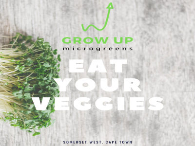 Get hired. Get noticed. Get results. Your digital growth catalyst is here. | Upwork