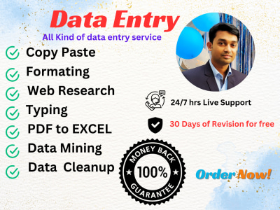 Data entry Copy Paste, manual typing, convert PDF to Word and Excel ...