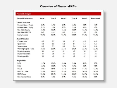 Professional, Flexible and User-friendly financial model for your ...