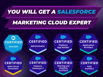A Salesforce Marketing Cloud Expert | Upwork