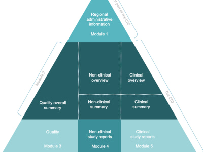 A screened Generic Drug Abbreviated New Drug Application (ANDA ...