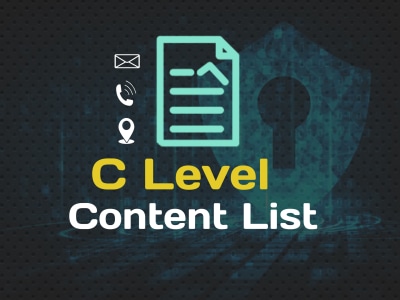 A list of c level contact in b2b market and data entry for you | Upwork