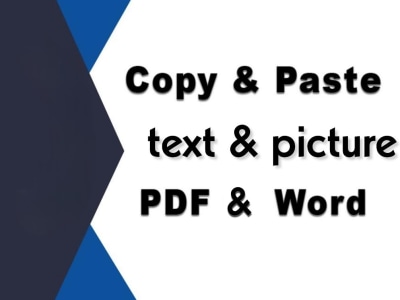 Copy and paste frome any where to word or pdf | Upwork