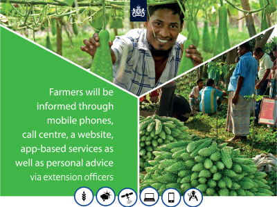 Creative poster design for agriculture | Upwork