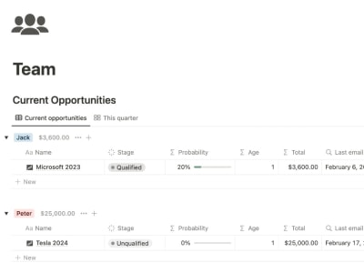 Automated processes with a custom Notion system | Upwork