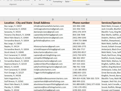 A Fantastic Result in Lead Generation | Upwork