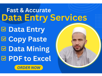Get Professional & Quick Data Entry Services with 100% Accuracy | Upwork