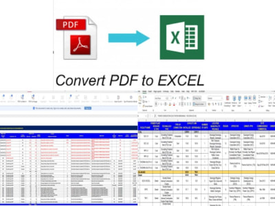VA Data Entry/File Conversion from PDF to Excel/Word | Upwork
