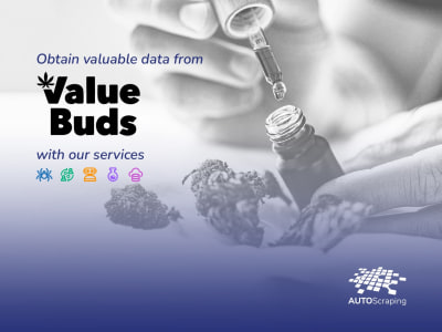 Valuable data from value buds | Upwork