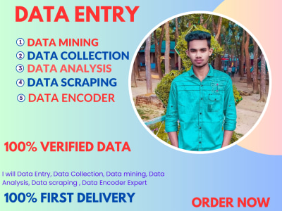 Data Entry, Data mining, Data Collection, Lead Generation | Upwork