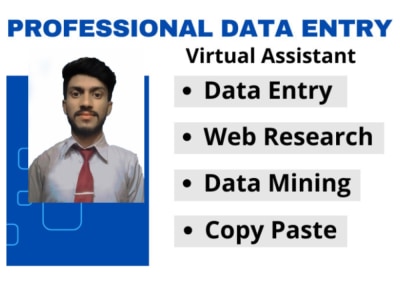Data Entry Services. with Experience Precision, Accuracy and expertes ...