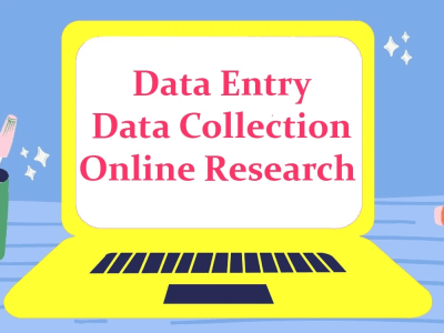 Online Research Data Entry Services Online | Upwork