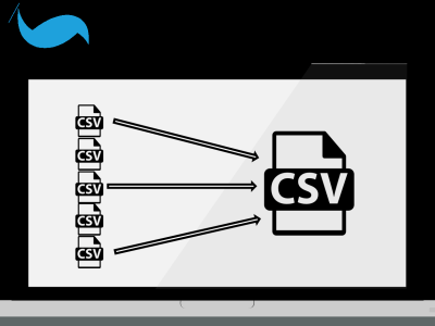 Master CSV file combining data from multiple CSV files | Upwork