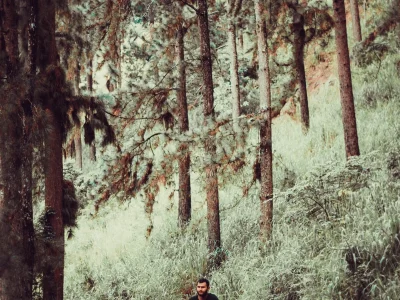 A perfect color grading to your photos | Upwork