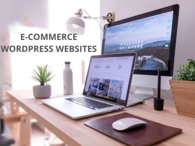 Professional E-Commerce wordpress Website | Upwork