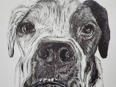 A Incredible Detailed Pen and Ink Animal Portrait | Upwork