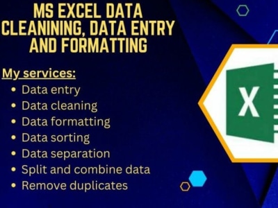 Data entry, data cleaning, data analysis, and data visualization on excel | Upwork