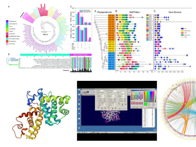 Your bioinformatics data analysis and visualization done professionally ...