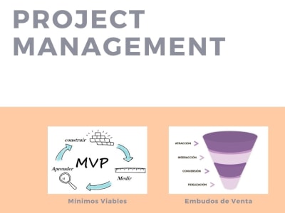 A fantastic management of your digital projects | Upwork