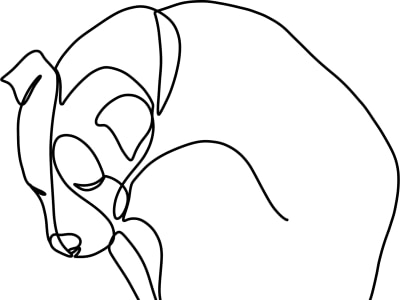 Perfect line drawings/ continuous one line illustrations | Upwork