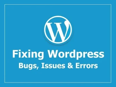 Fixed any WordPress issue | Upwork