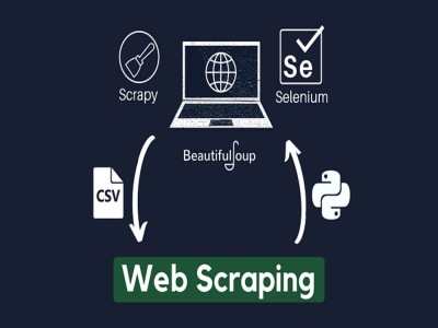 Web scripting, data extractioin and automation scripts | Upwork