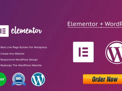 Responsive wordpress website using elementor pro page builder | Upwork