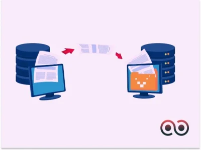 A fast WordPress website Migration form one server to another server | Upwork