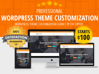 A WordPress theme or plugin customization service | Upwork