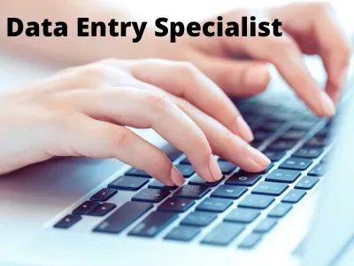 Timely and professional data entry output | Upwork