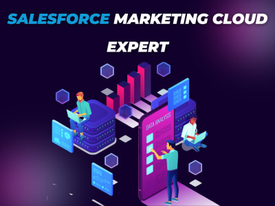 A Salesforce Marketing Cloud Expert | Upwork
