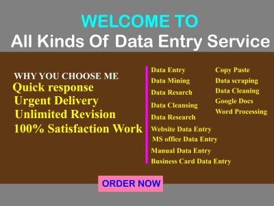 All kinds of data entry work within your timeline | Upwork
