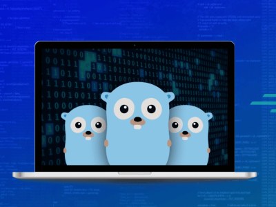 A Golang web app, APIs, Backend, Server full stack developer | Upwork