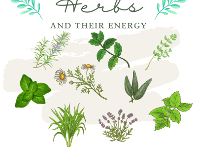 Book a Design Consultation with Shellie M. | Upwork