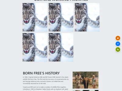 Html css javascript angular angularjs psd html react | Upwork