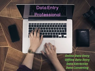 Professional Data Entry, Data Extraction, Data Conversion & Retyping | Upwork
