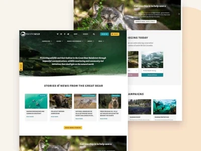 A Front end and Back end Developer. | Upwork