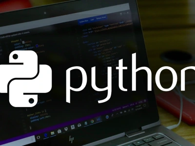 Original and custom python programs | Upwork