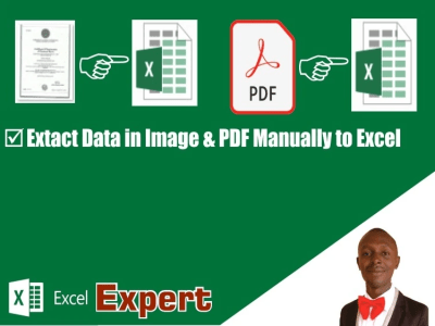 Image/PDF data into to Excel or Google Sheets | Upwork