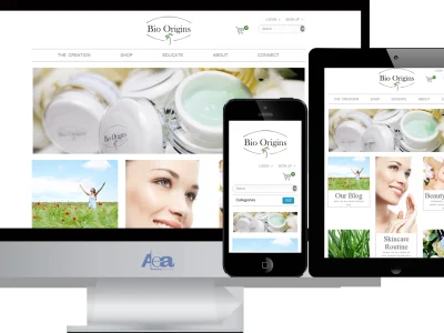 A fantastic revamp of your current website | Upwork