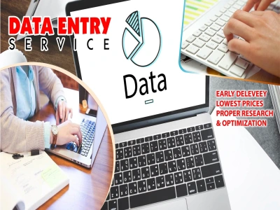 Professional & Quick data Entry Services With Proper Optimization. | Upwork