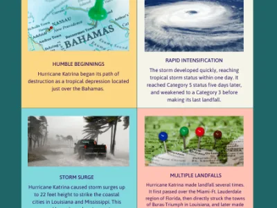 A newsletter, brochure, or job aid expertly designed in Canva. | Upwork