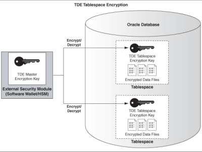 Your Oracle Database Encrypted | Upwork