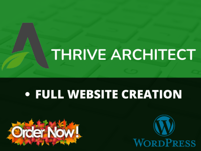A responsive and fantastic wordpress website using thrive architect | Upwork