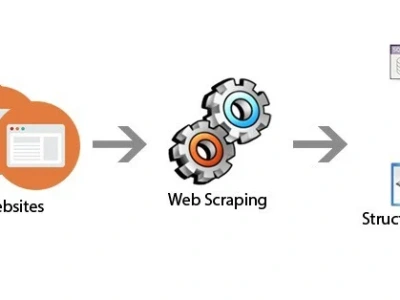 Custom Web Scraper with Organized Data | Upwork
