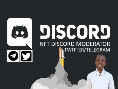 NFT discord moderator, collab manager, community manager and Strategist ...
